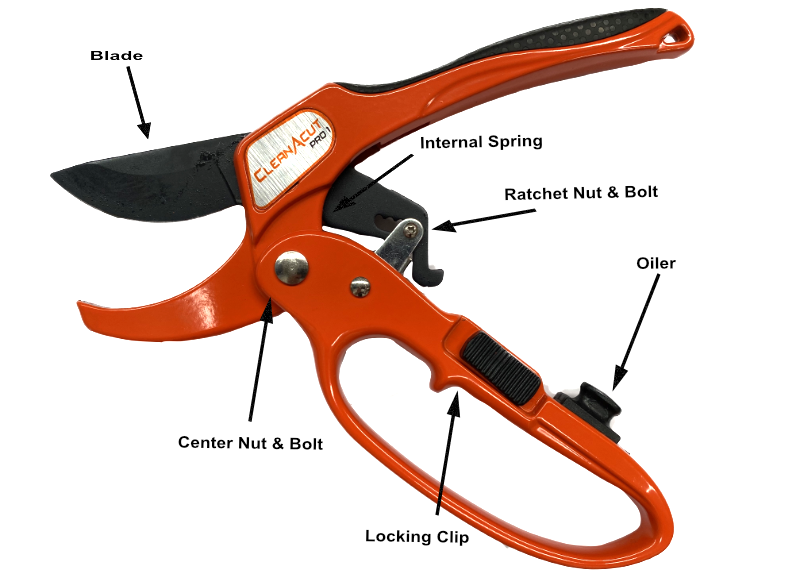 Ratchet Secateurs - CleanAcut Pro 1 - CutAbove Tools